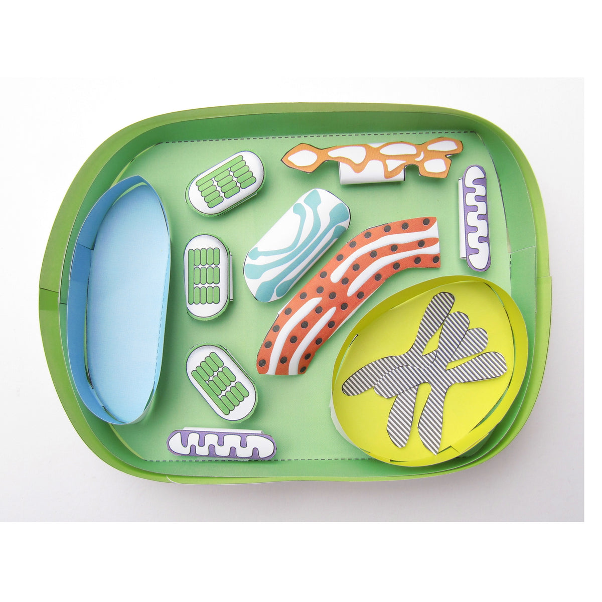 Bring Origami into your science lessons! – Discovering DNA