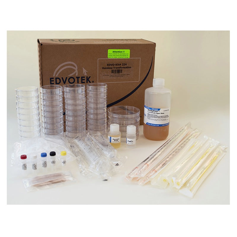 Rainbow Transformation - Edvotek 224 – Discovering DNA