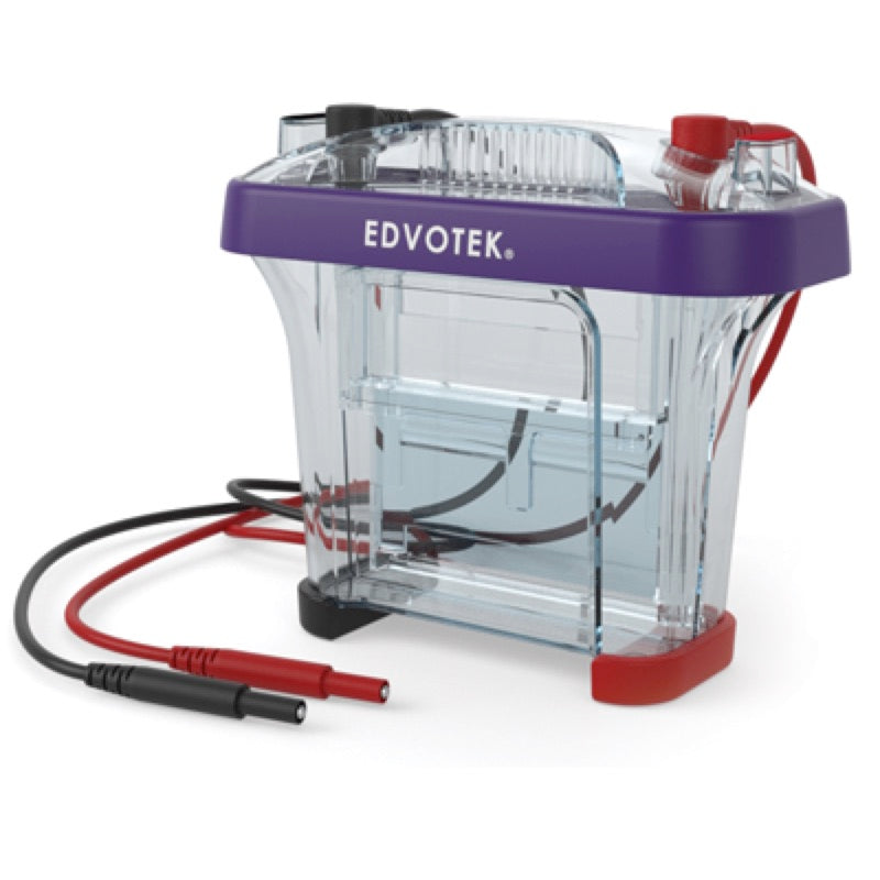 MV10 Vertical Electrophoresis Apparatus - Edvotek 581 – Discovering DNA