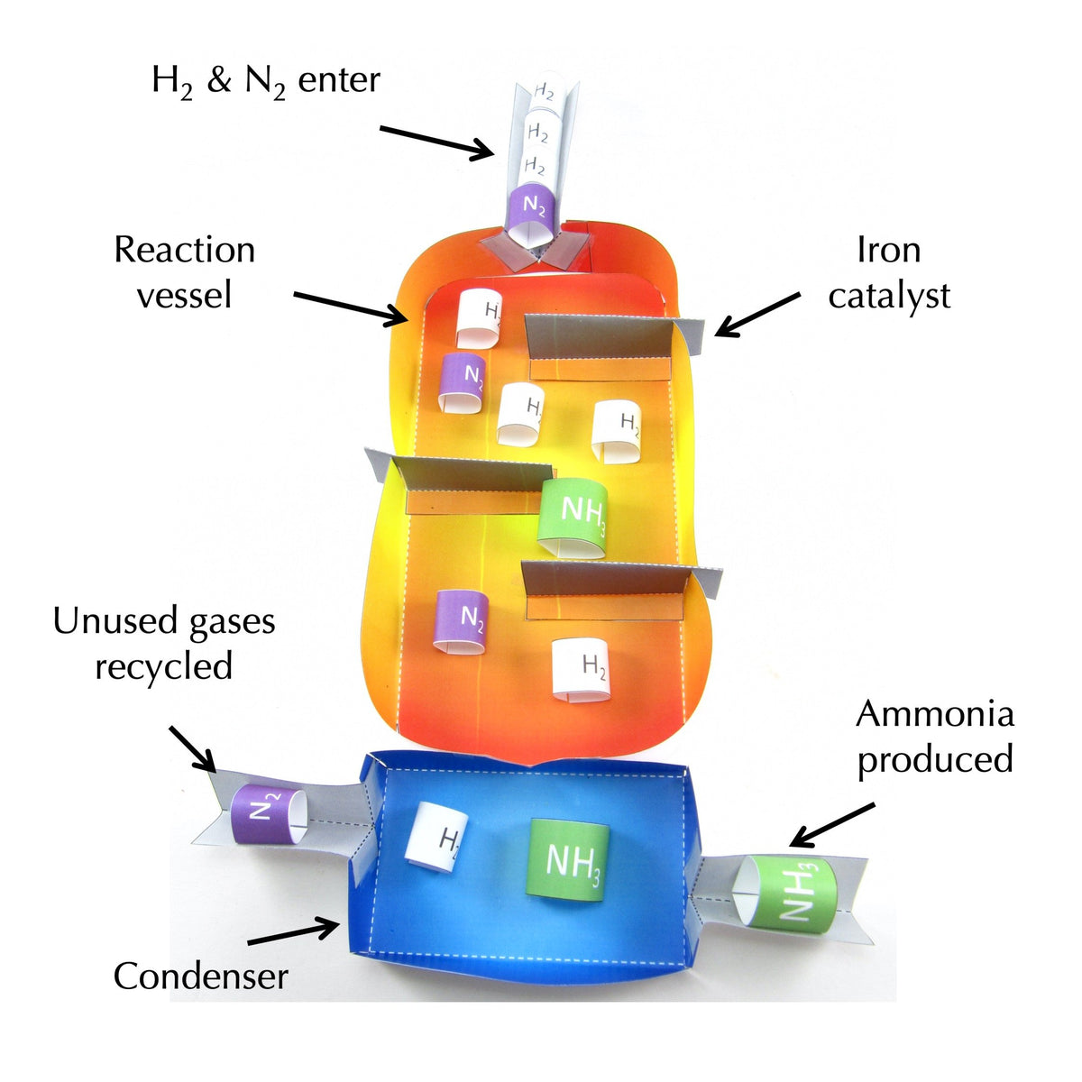 Haber Process – Discovering DNA