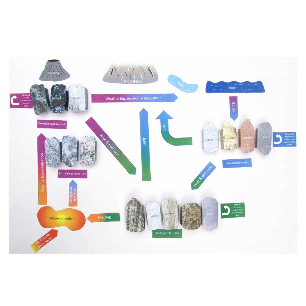 Rock Cycle – Discovering DNA
