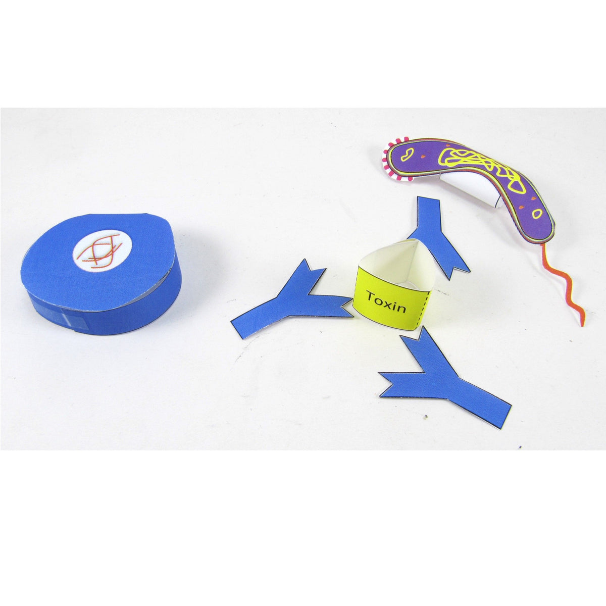 Simple Immune System – Discovering DNA